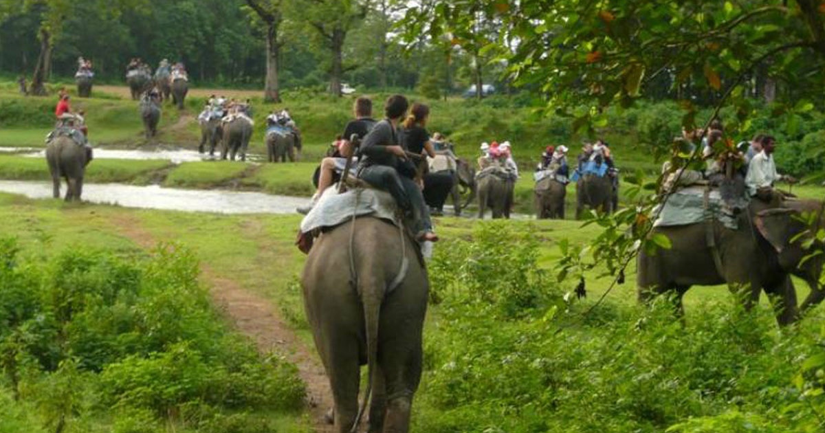 Kathmandu Chitwan Tour: 5 Nights 6 Days Itinerary and Cost